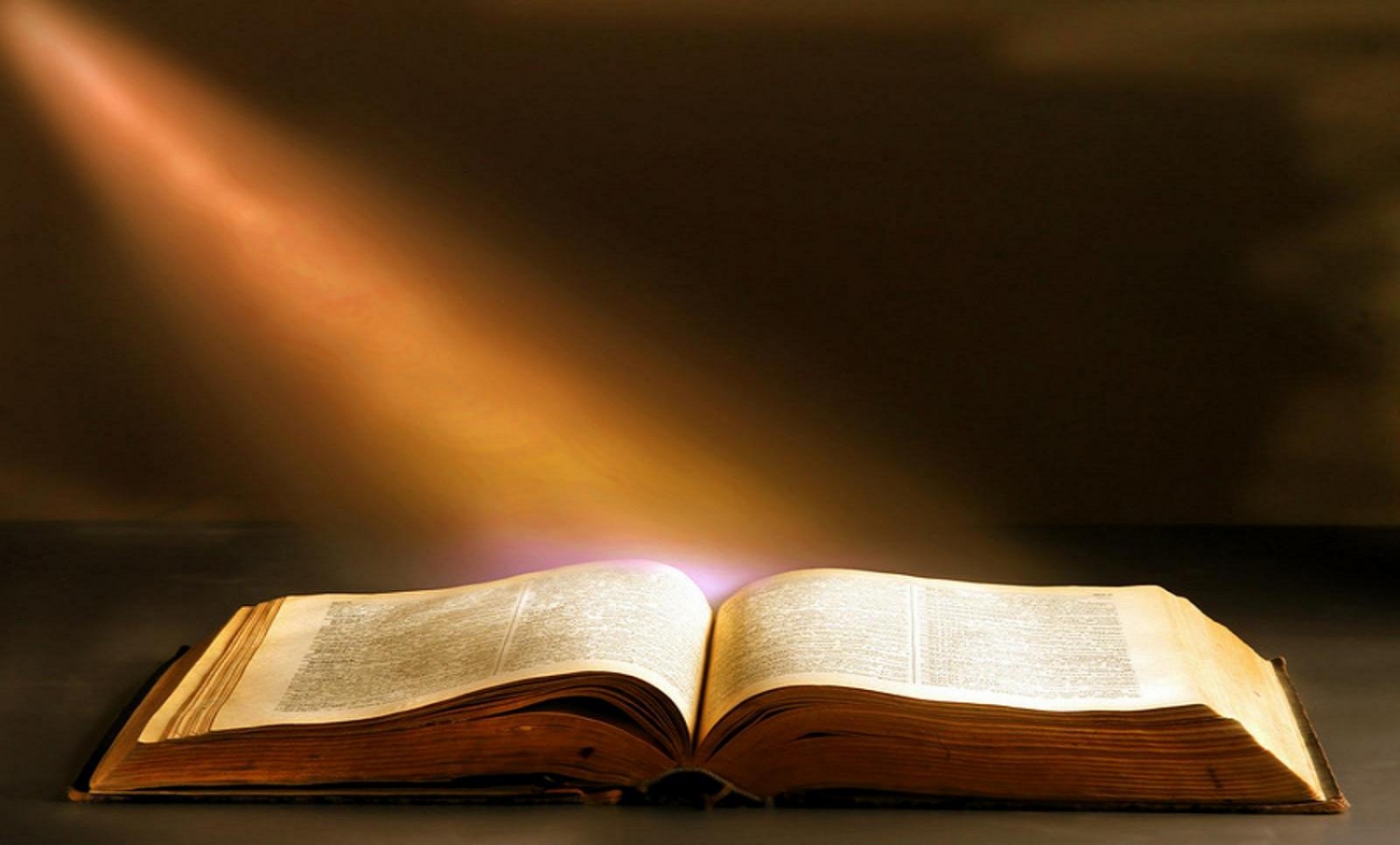 El Senyor/Ở trong Chúa (Taizé) - Tình Bạn